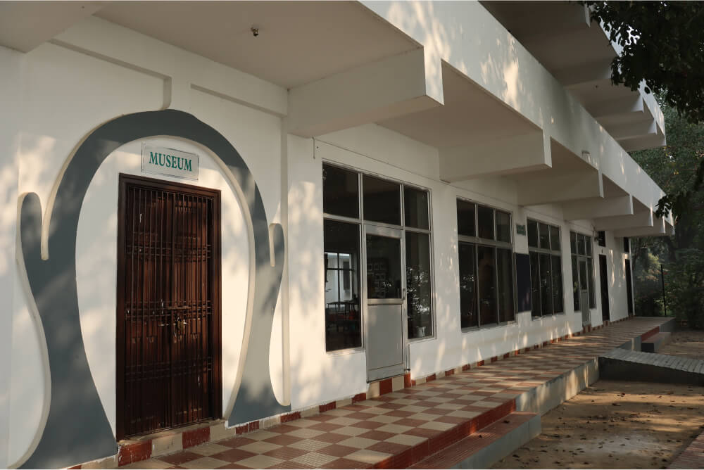 Vasanta College for Women | Banaras Hindu University